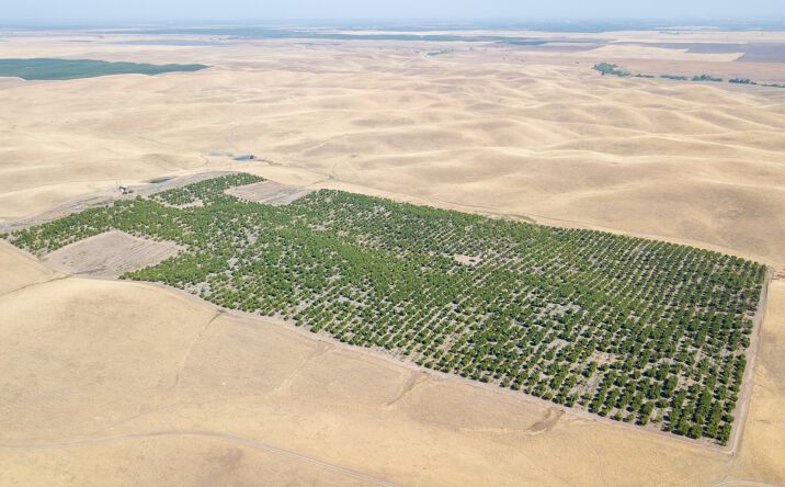 AVENUE 2 Terra Bella CA 93218 APN: 342110003 | Crexi.com