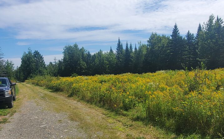 US-1 off Spring Hill Road, Amity, ME 04471 | Crexi.com