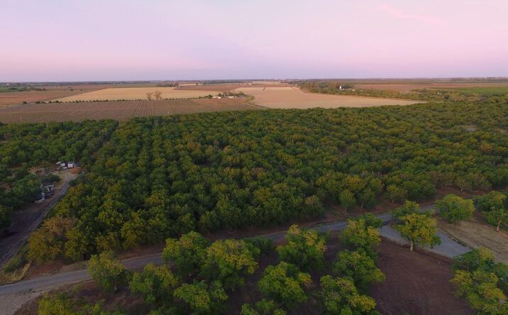 Co Rd 92F, Winters, CA 95694 - Land for Sale - 0 CR 92F, Winters, CA ...