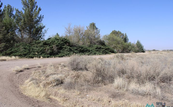 El Portal RD SE Block3 LOT 12 Road, Deming, NM 88030 - Land for Sale ...
