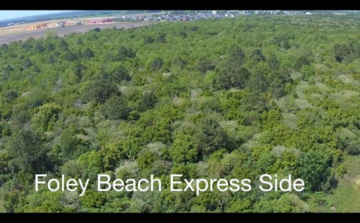 Foley Beach Express South, Foley, AL 36535 | Crexi.com