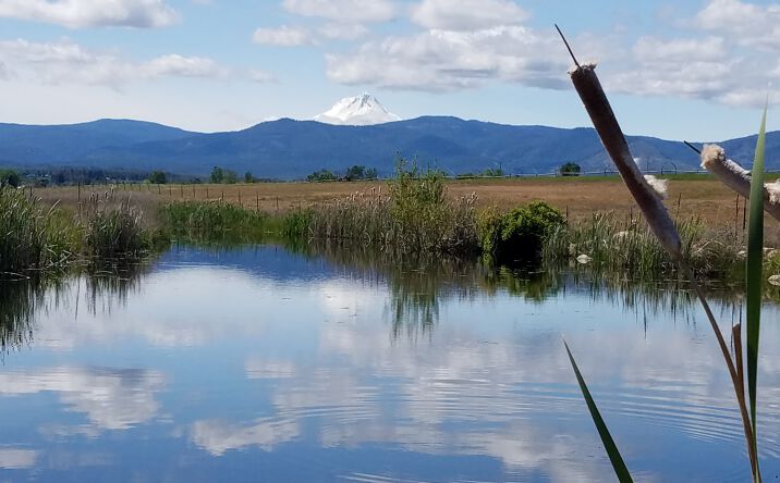 WAMIC MARKET RD Tygh Valley OR 97063 | Crexi.com