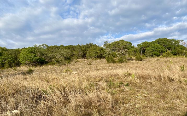 Hwy 46 & Old Blanco Rd, Bulverde, TX 78163 | Crexi.com