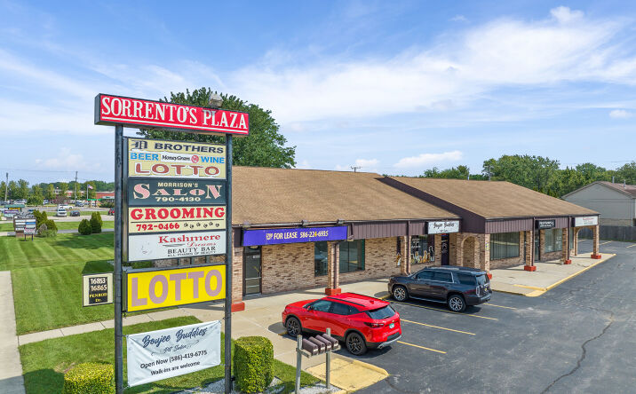 16853 PENROD DR Clinton Township MI 48035-1232 APN: 161129103046 ...