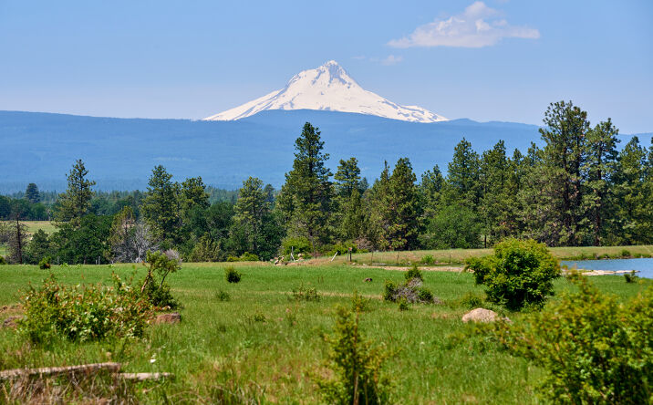 55100 Smock Rd, Wamic, OR 97063 | Crexi.com