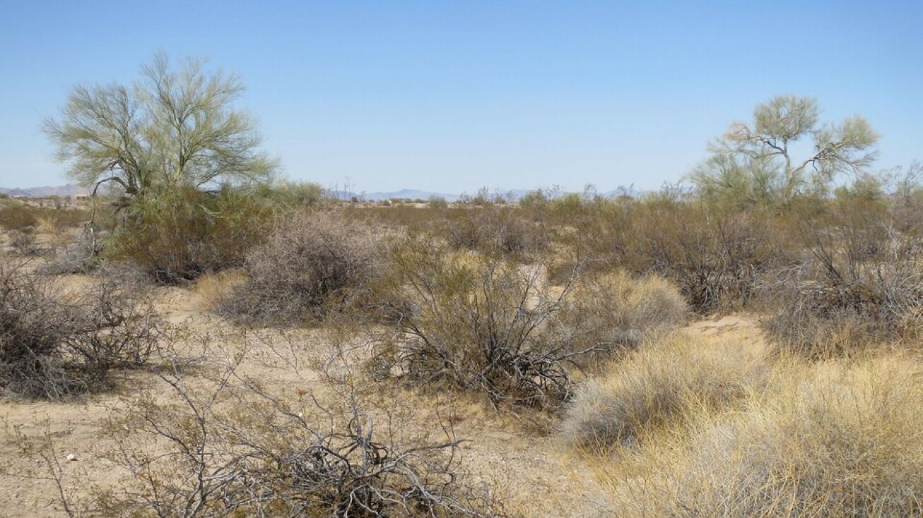 Lot 36A&B Douglas Ln, Yucca, AZ 86438 | Crexi.com
