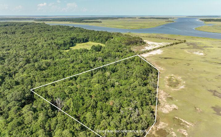 Parcel 41 Little Capers Road, Beaufort, SC 29907 | Crexi.com