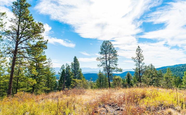 Nhn Overlook Ridge, Kalispell, MT 59901 - Land for Sale - Nhn Overlook ...
