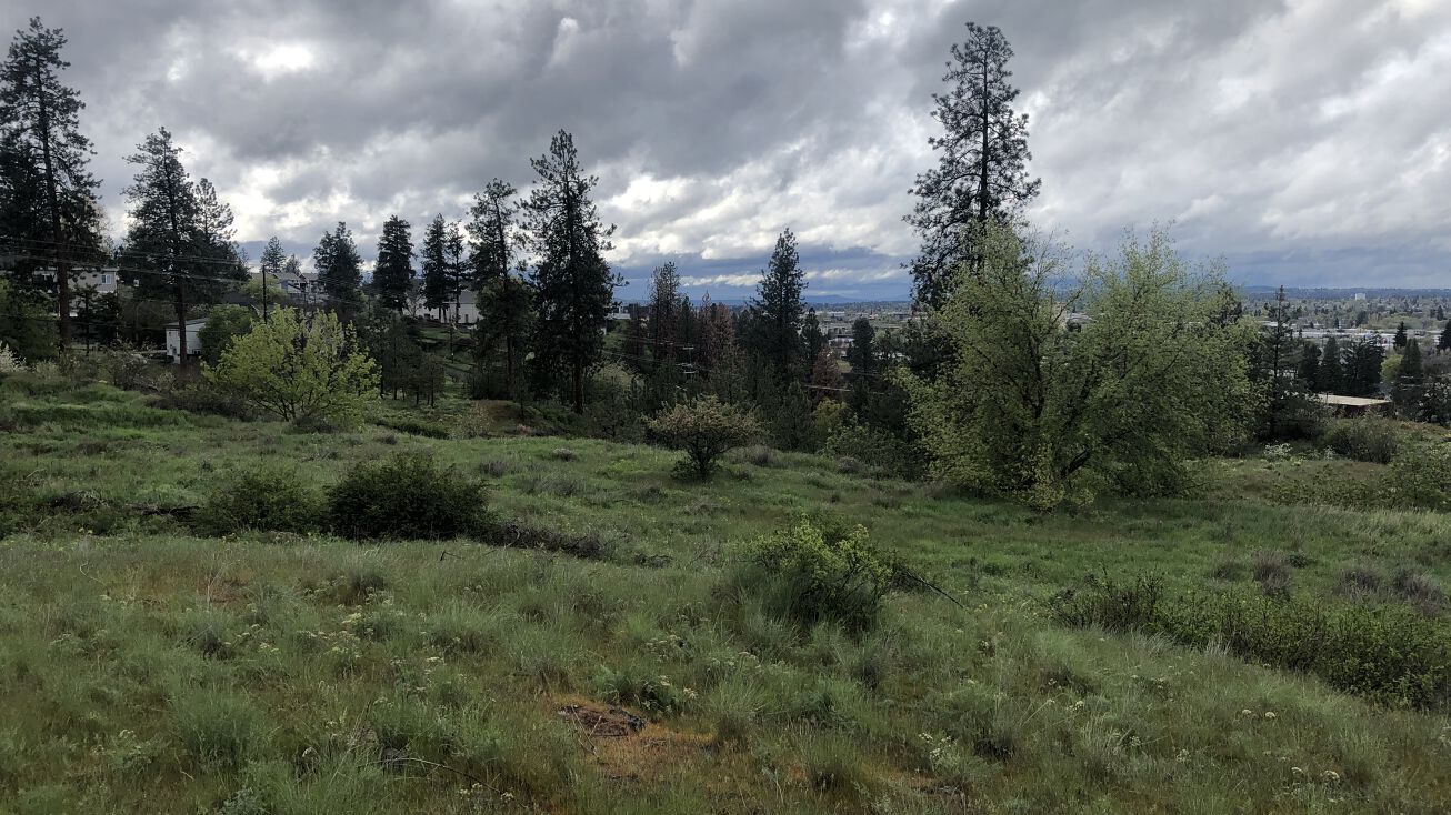 Spokane, WA | Crexi.com