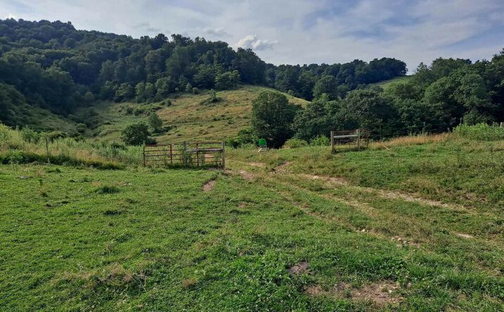 3454 POINT MOUNTAIN RD Valley Head WV 26294-7015 APN ...