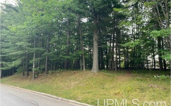TBD Billie Helmer Rd, Deerton, MI 49822 | Crexi.com