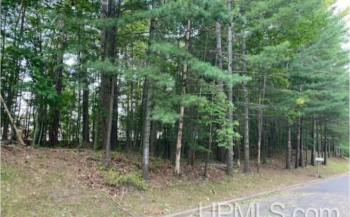 Elder Drive lot 9, Harvey, MI 49855 | Crexi.com