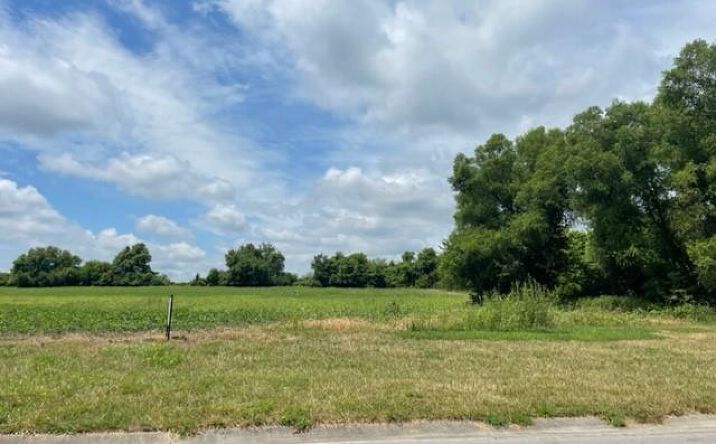 9902 STONEHAUS DR Lees Summit MO 64086-9602 APN: 53700022300000000 ...