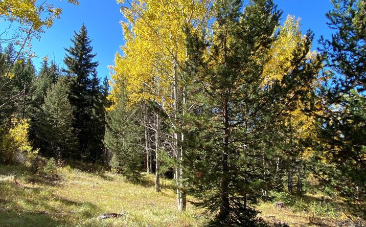 Tbd Beck Ranch Estates, Deer Lodge, MT 59722 | Crexi.com