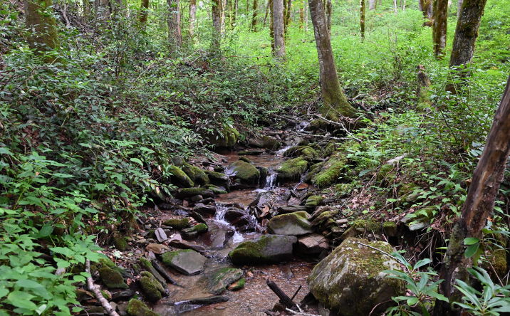 Licklog Rd, Bryson City, NC 28713 | Crexi.com