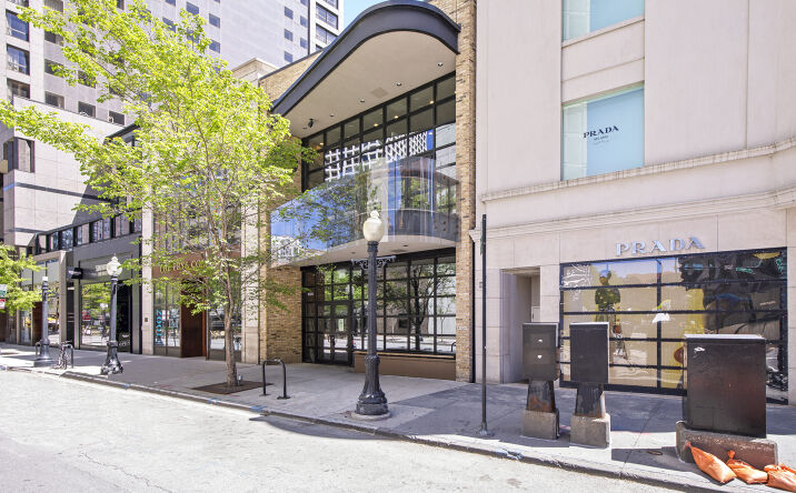 1003 N RUSH ST Chicago IL 60611-1237 APN: 17032040080000 | Crexi.com