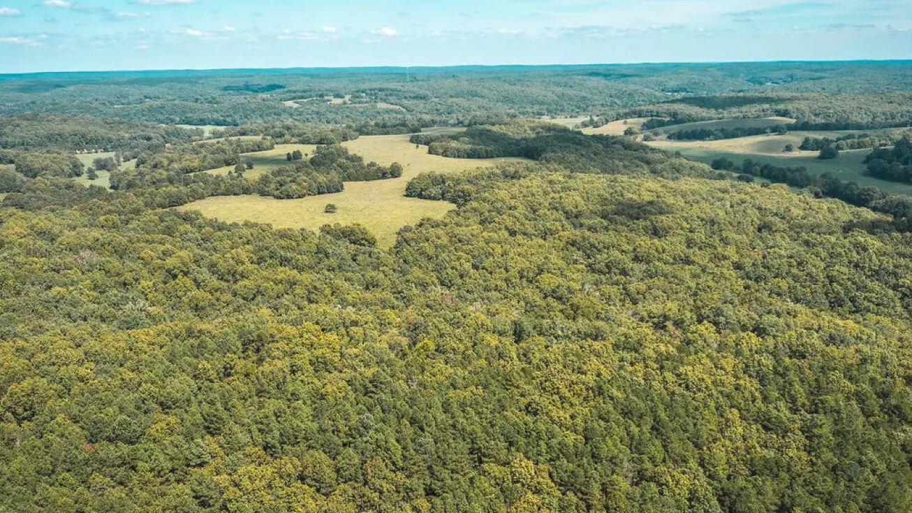 956 County Rd 5170, Salem, MO 65560 | Crexi.com