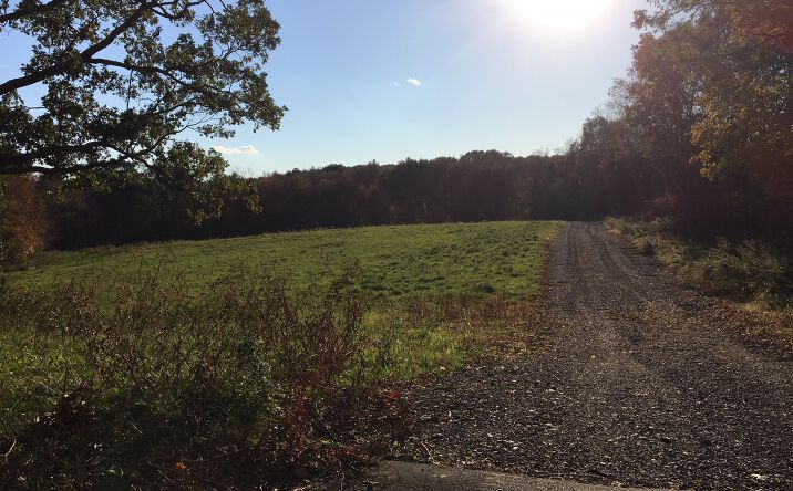 2 PHEASANT RUN DR Oxford CT 06478-1063 APN: 3-29-161 | Crexi.com