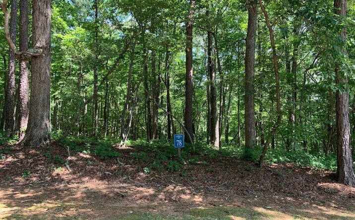 LT 20 Hunters Ridge, Ellijay, GA 30540 - Special Purpose Property for ...