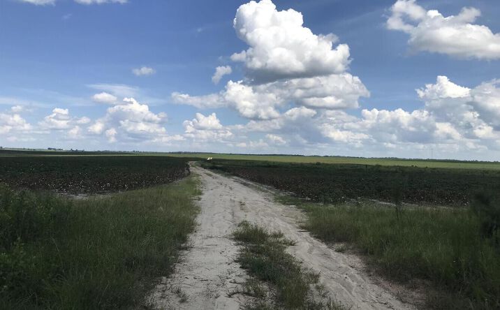 Chauncey Rhine Hwy, Rhine, GA 31077 | Crexi.com