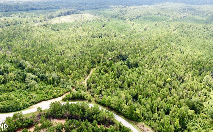 0 Campbell Landing Road, Morvin, AL 36784 | Crexi.com