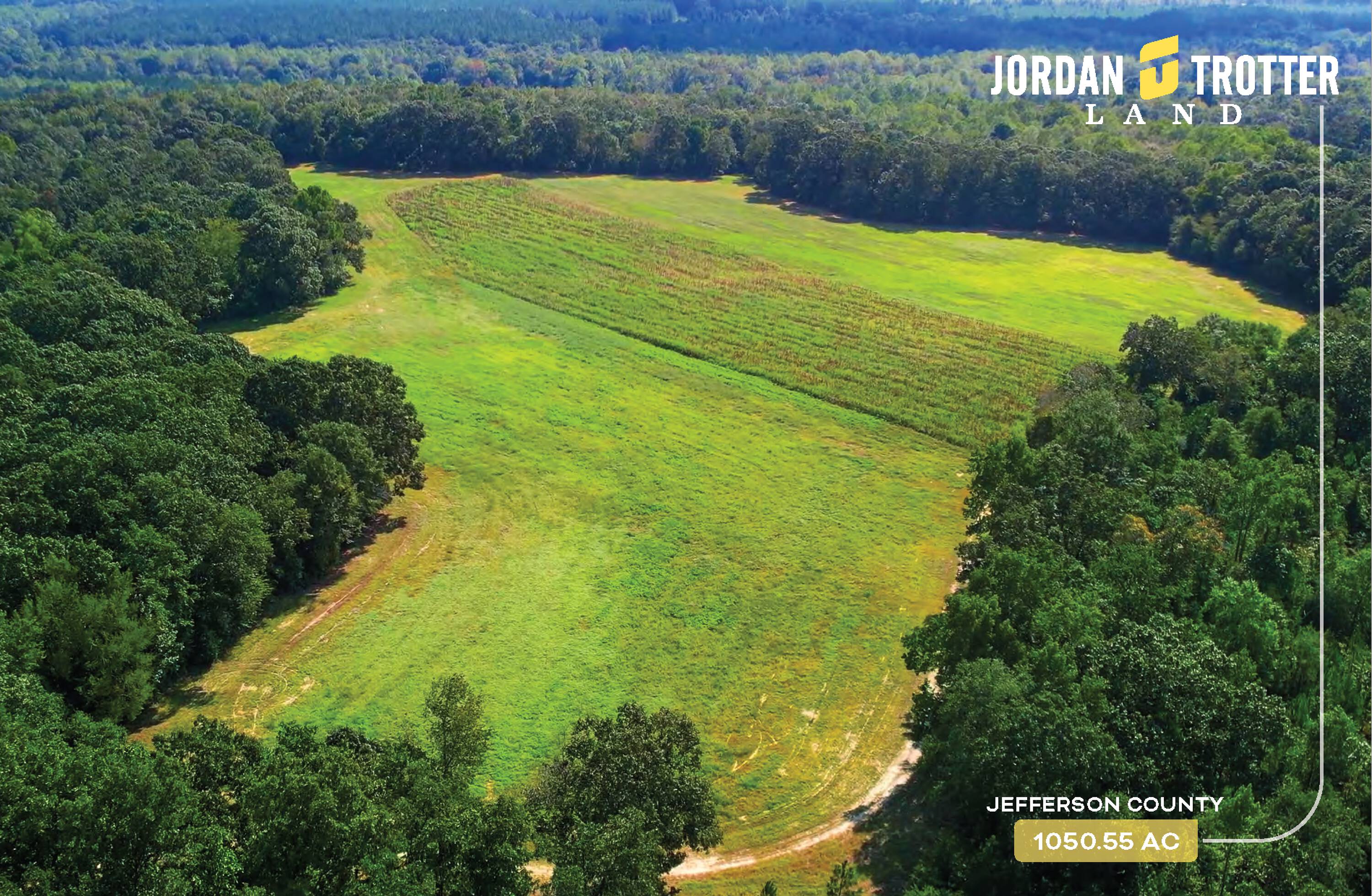 10700 CLARKS MILL RD Avera GA 30803 APN: 0020030;0020111;0020052 ...