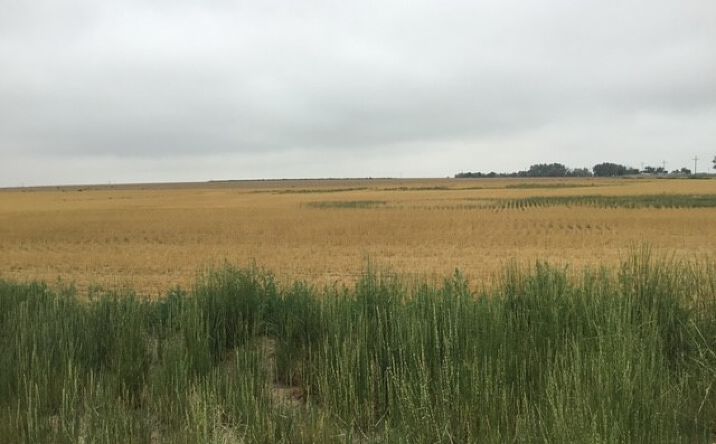 County Road 51, Keenesburg, CO 80643 | Crexi.com