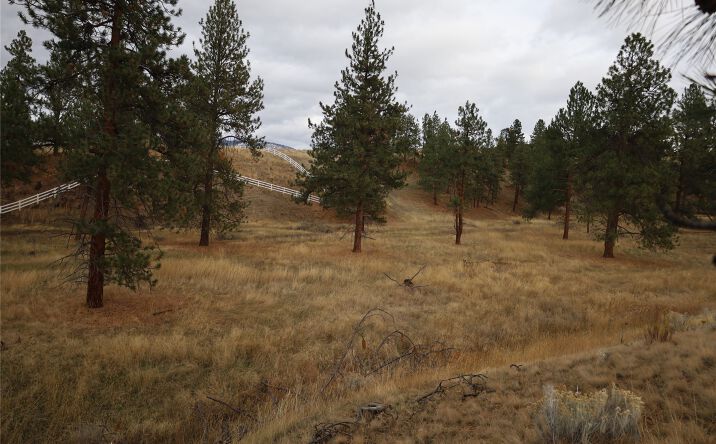 19 Gunshy Ridge, Florence, MT 59833 | Crexi.com