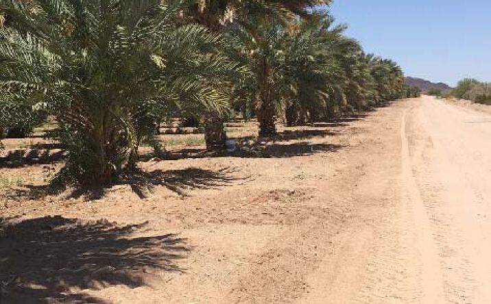 Hyder Rd, Dateland, AZ 85333 | Crexi.com