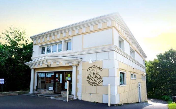 888 High Ridge Rd, Stamford, CT 06905 | Crexi.com