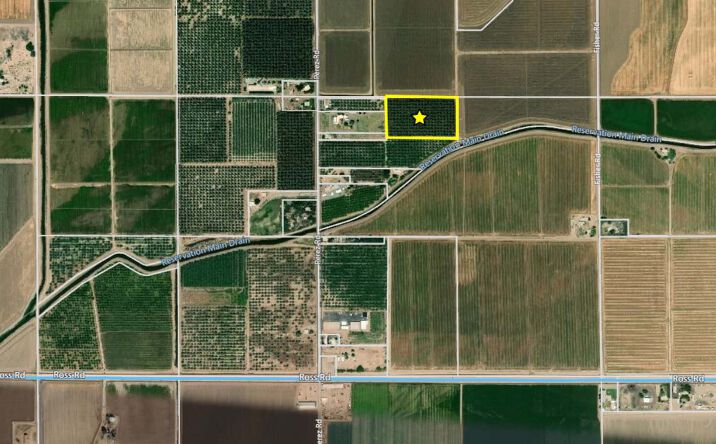 Medjool Date Trees, Bard Valley, CA 92283 | Crexi.com