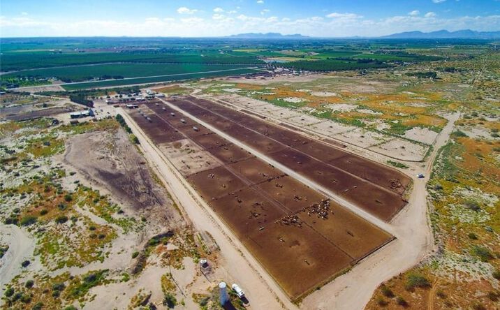 15908 N Loop Dr, Clint, TX 79836 | Crexi.com