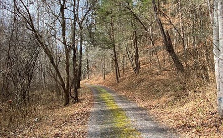 00 Youngstock Rd, Edison, TN 37731 | Crexi.com