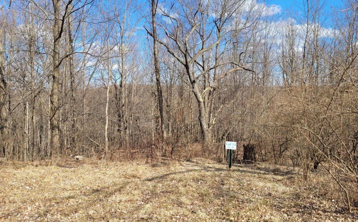 28 SUMMIT VIEW CT Cherry Ridge PA 18431 APN: 05-0-0002-0006.0013 ...