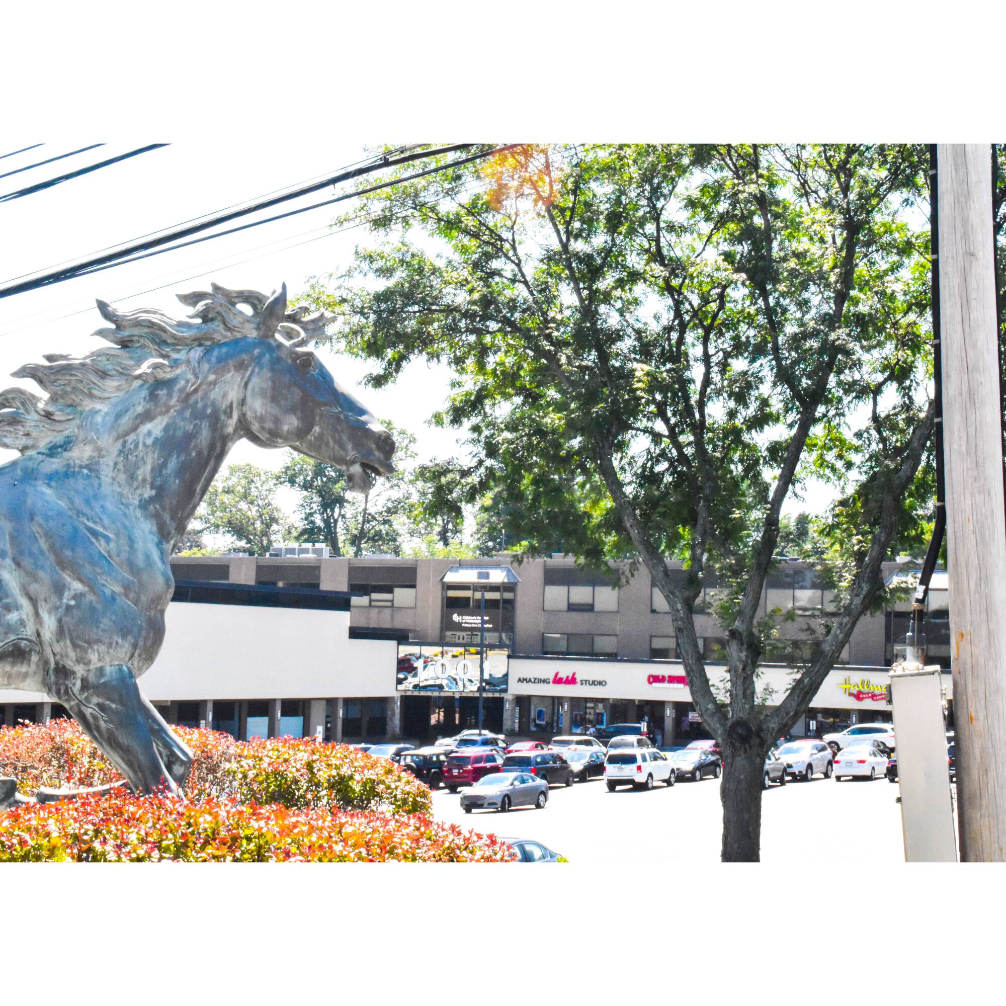 1001 Baltimore Pike, Springfield, PA 19064 - Retail Space for Lease ...