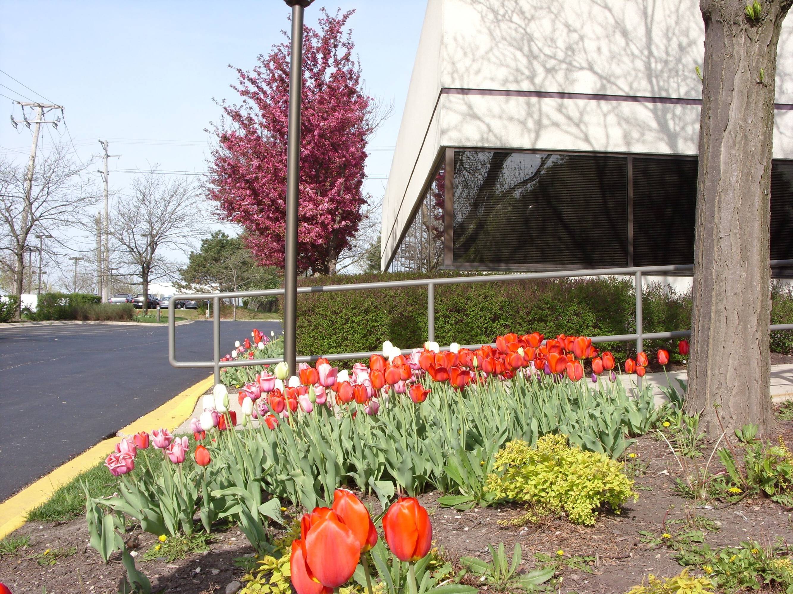 1251 N Plum Grove Rd, Schaumburg, IL 60173 | Crexi.com