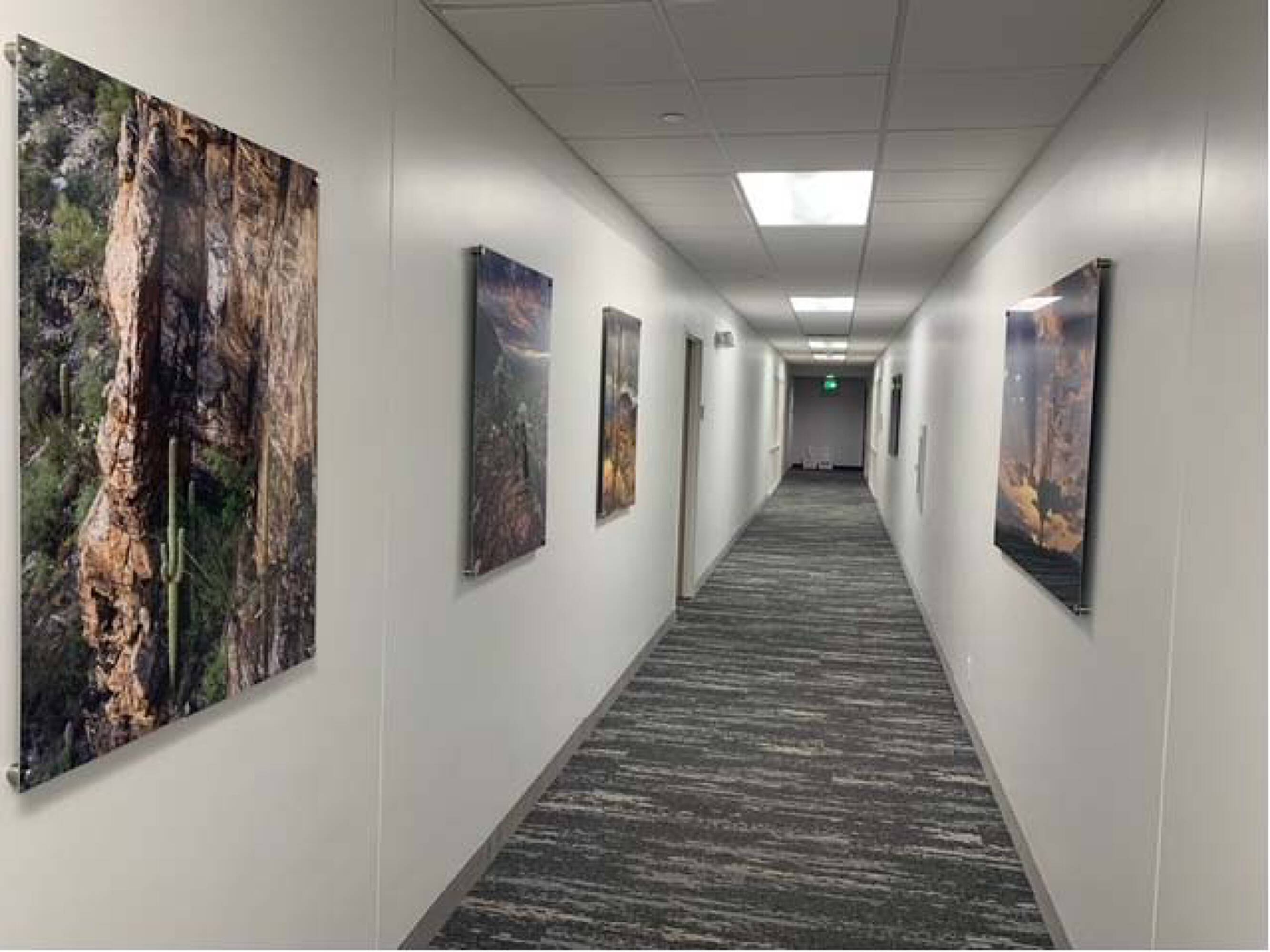 1925 W Orange Grove Rd, Tucson, AZ 85704 | Crexi.com