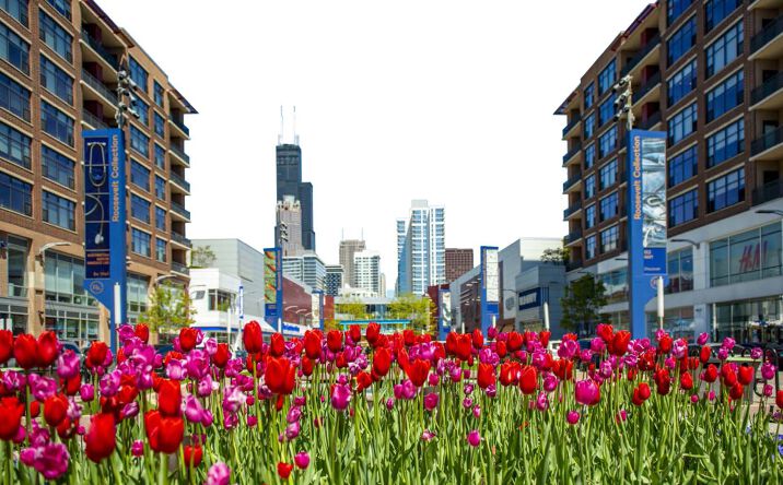 150 Roosevelt Rd, Chicago, IL 60607 | Crexi.com