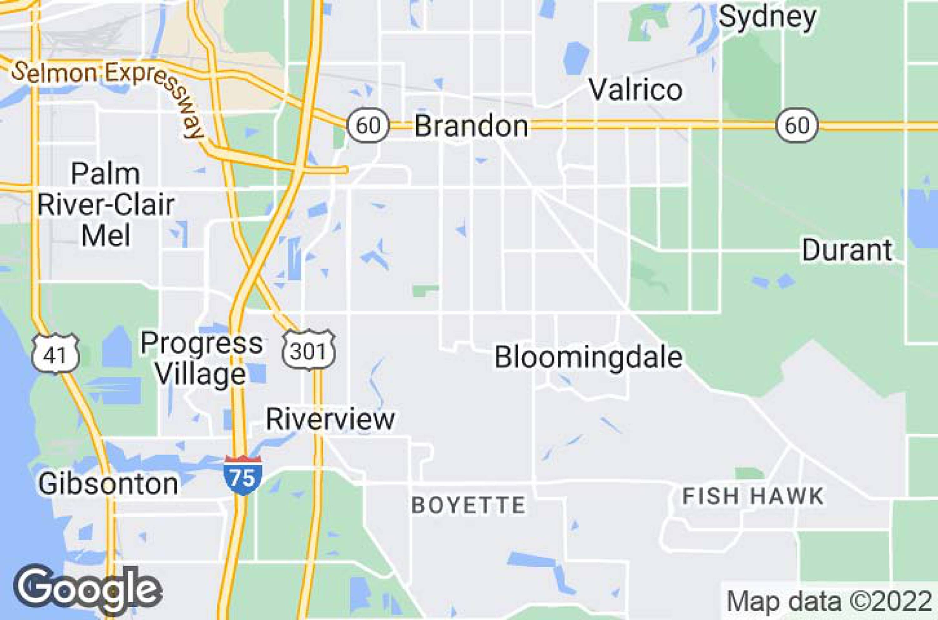 110 W BLOOMINGDALE AVE Brandon FL 33511-7430 APN: 73368.0000 | Crexi.com