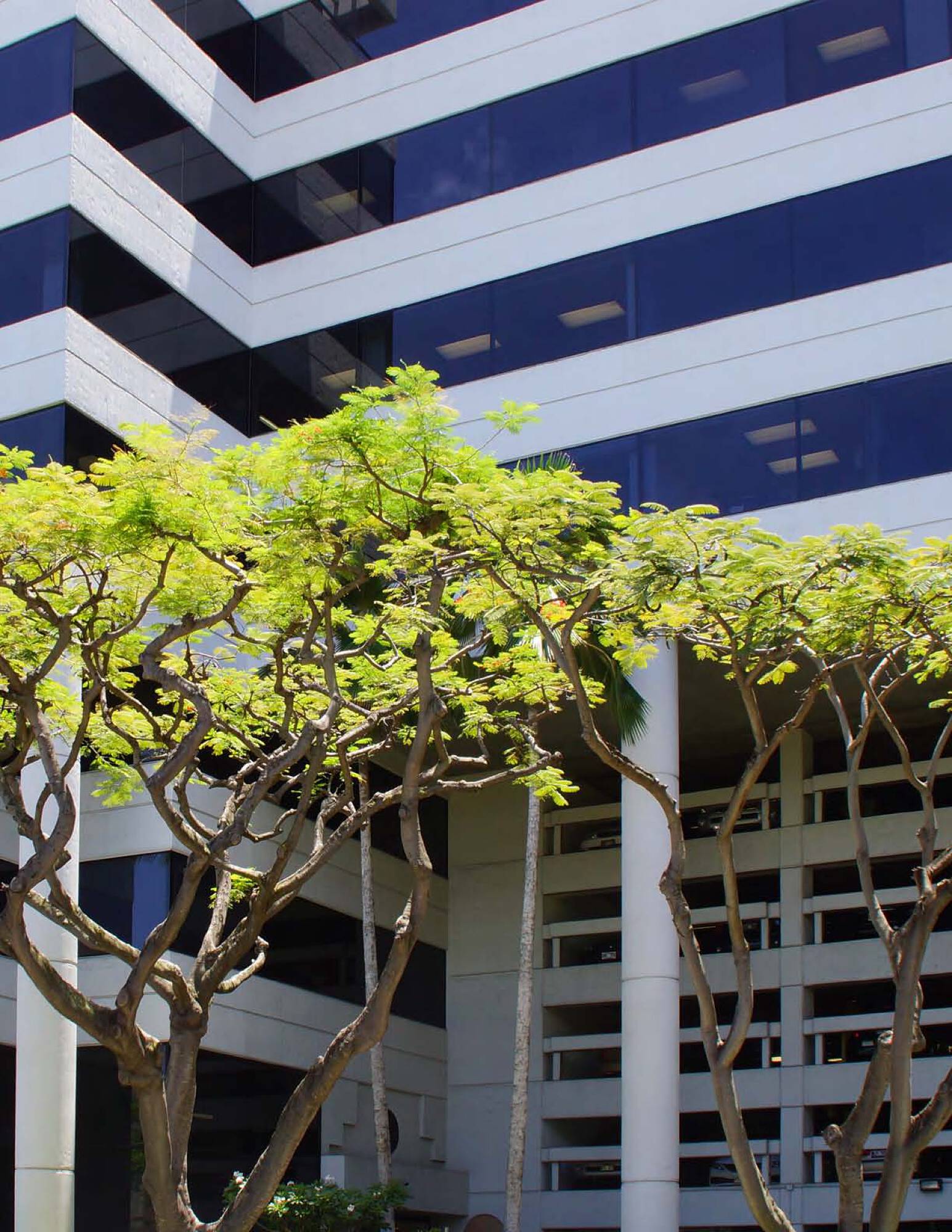 707 Richards Street & 820 Mililani Street, Honolulu, HI 96817 | Crexi.com