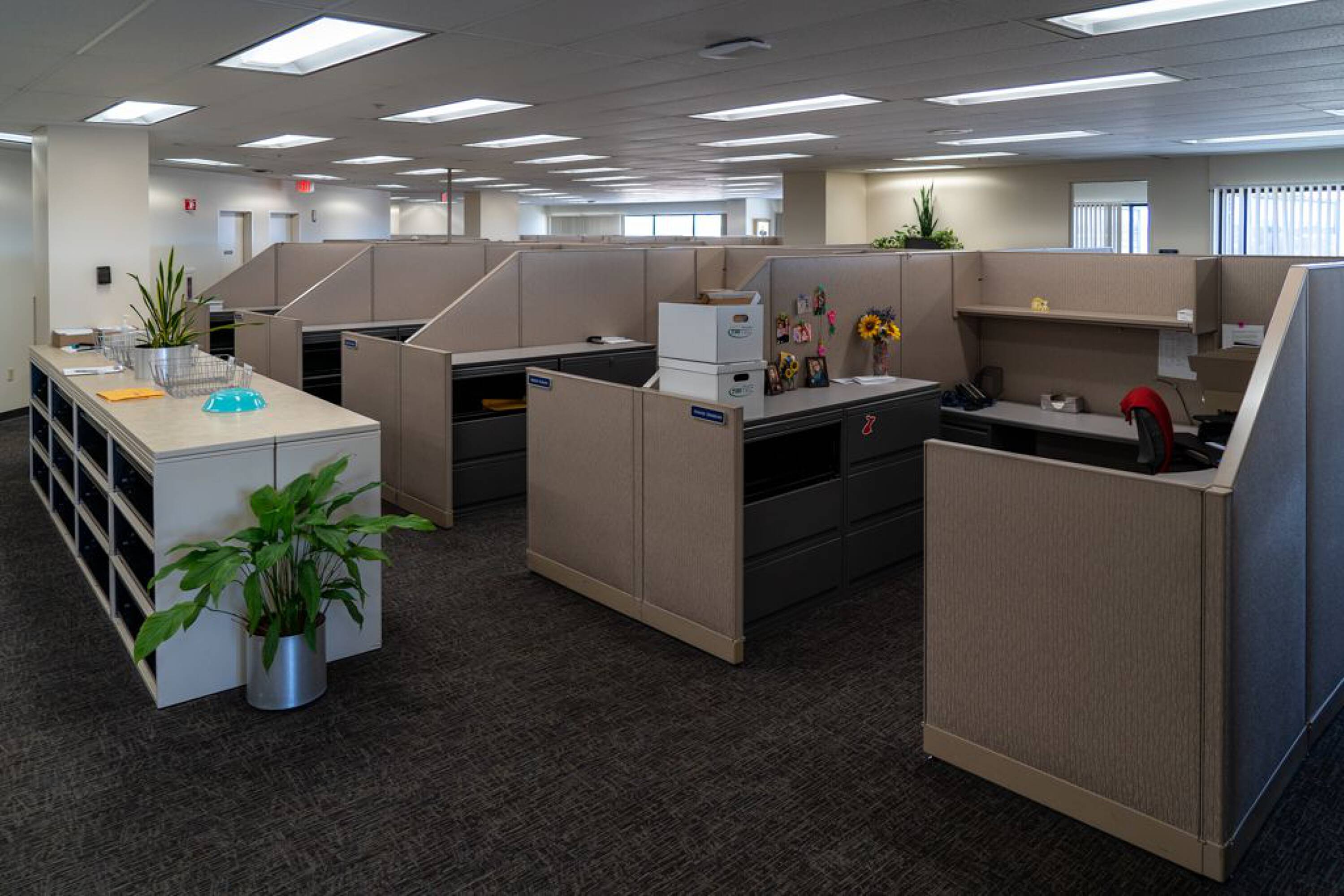 1350 Main St, Springfield, MA 01103 | Crexi.com