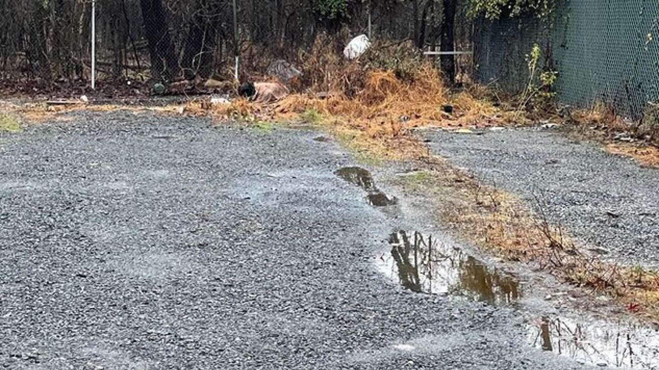 3120 Arthur Kill Rd, Staten Island, NY 10309 - Industrial Space for ...