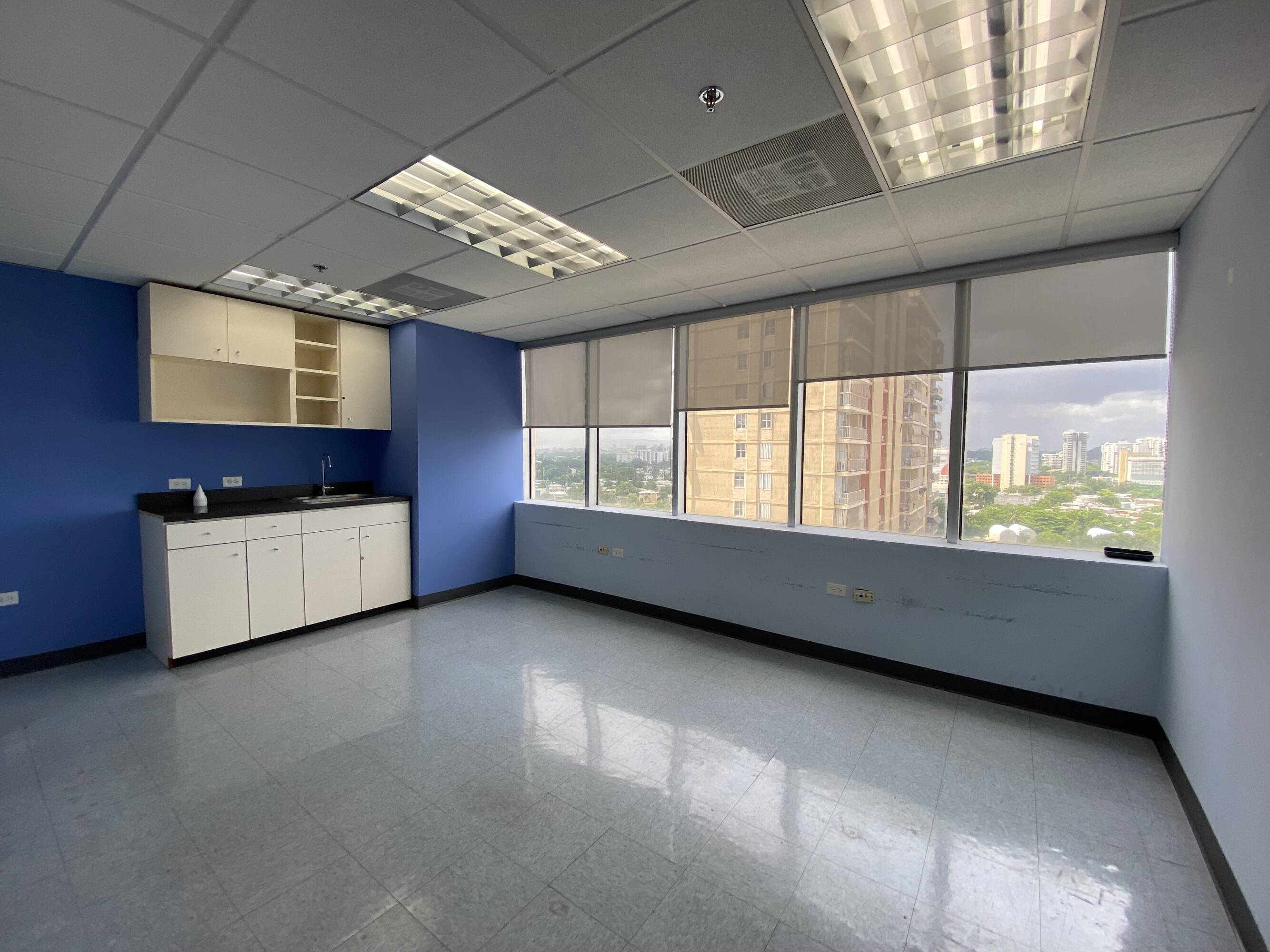 654 Av. Luis Muñoz Rivera, San Juan, PR 00918 | Crexi.com