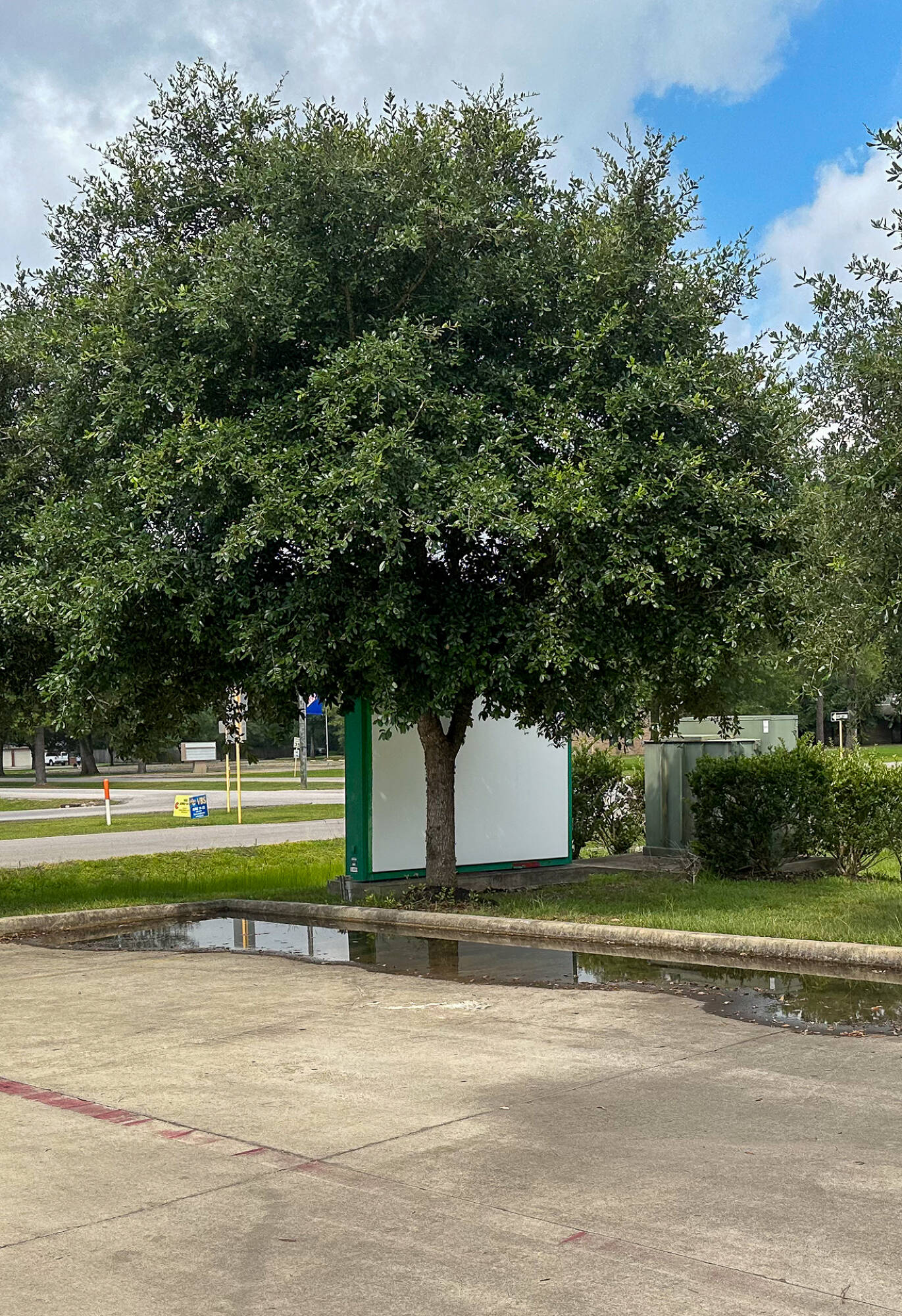 2503 Roman Forest Blvd, Roman Forest, TX 77357 | Crexi.com