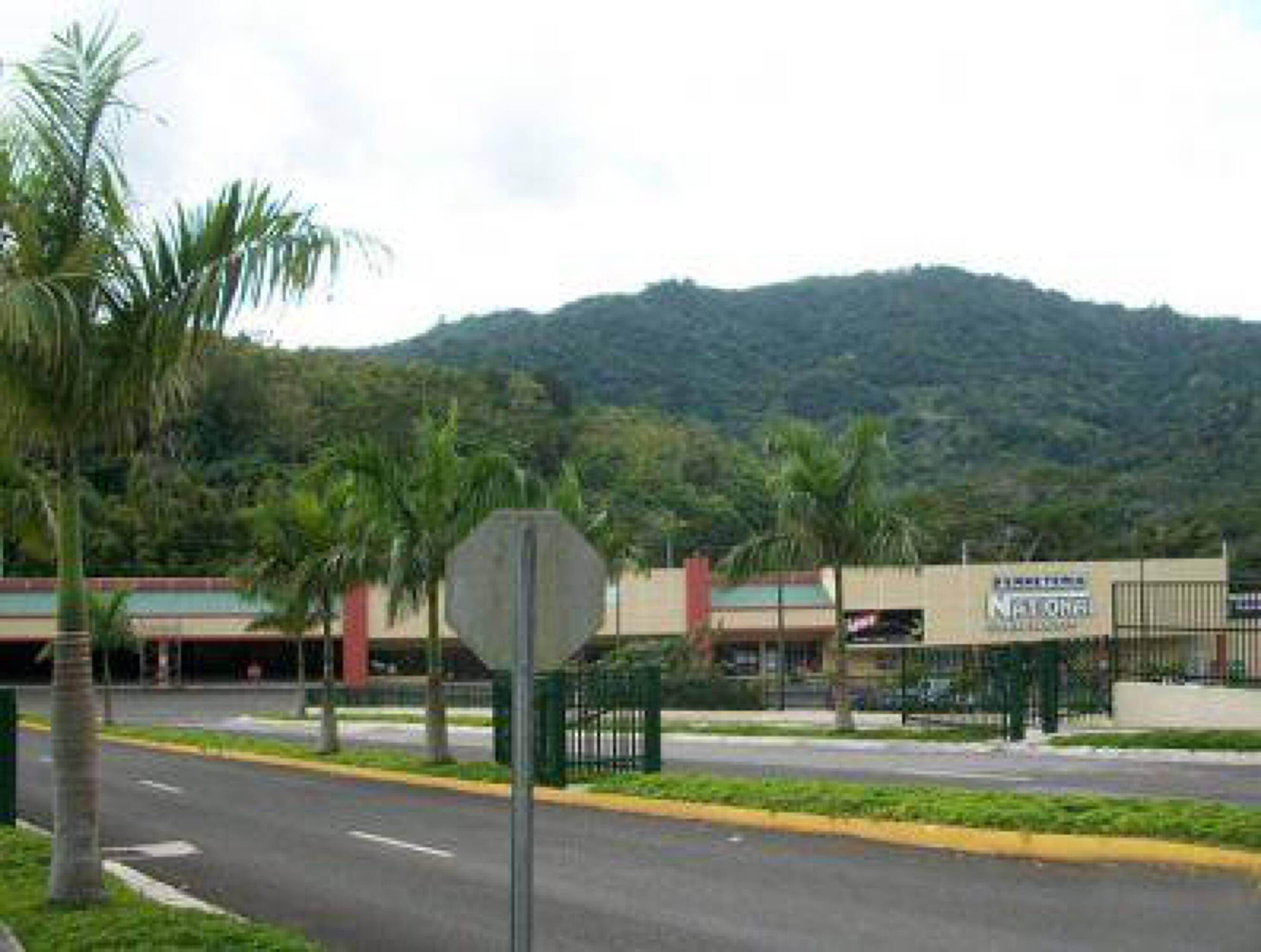 PR-10, Adjuntas, Puerto Rico 00604 | Crexi.com