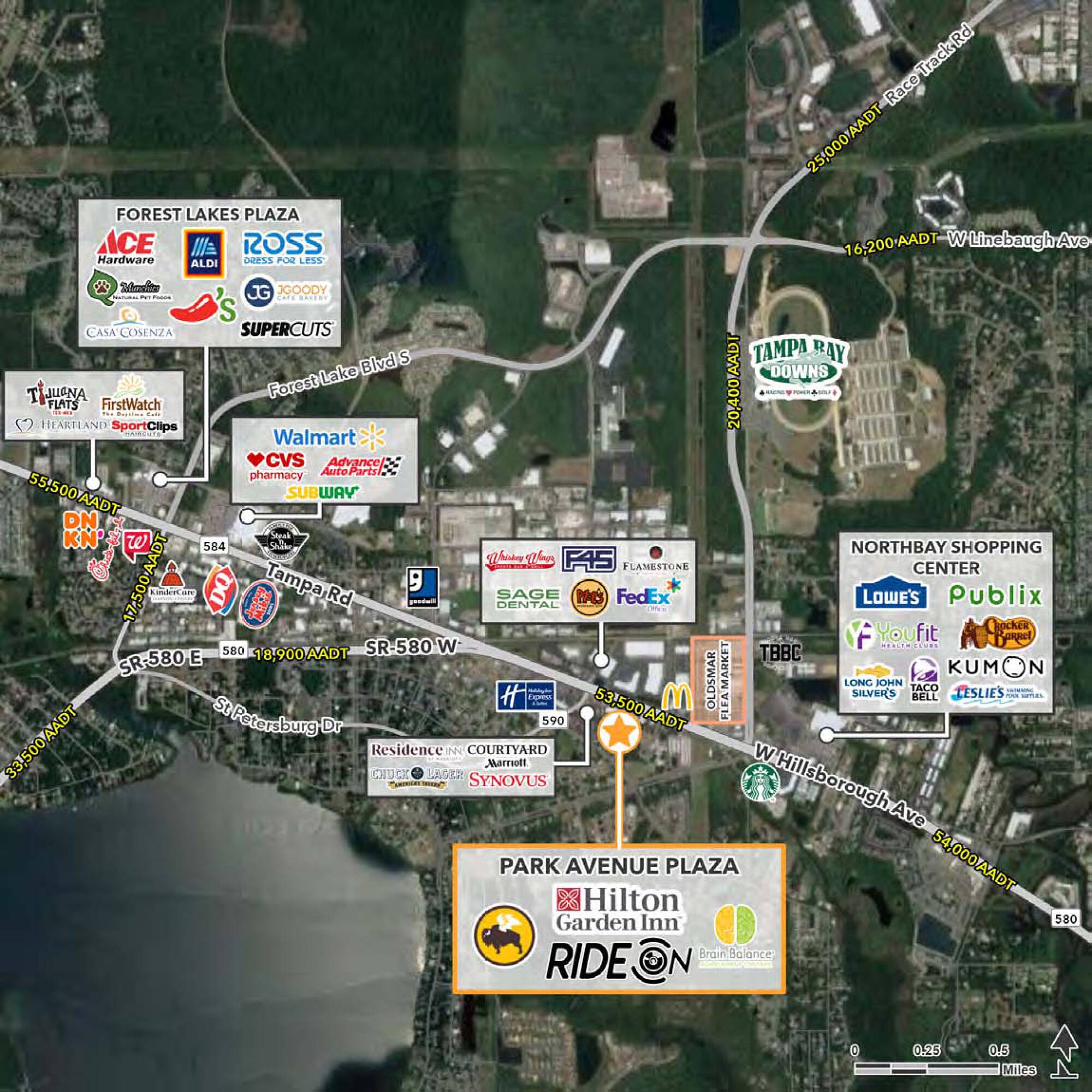 4022 Tampa Rd, Oldsmar, FL 34677 | Crexi.com