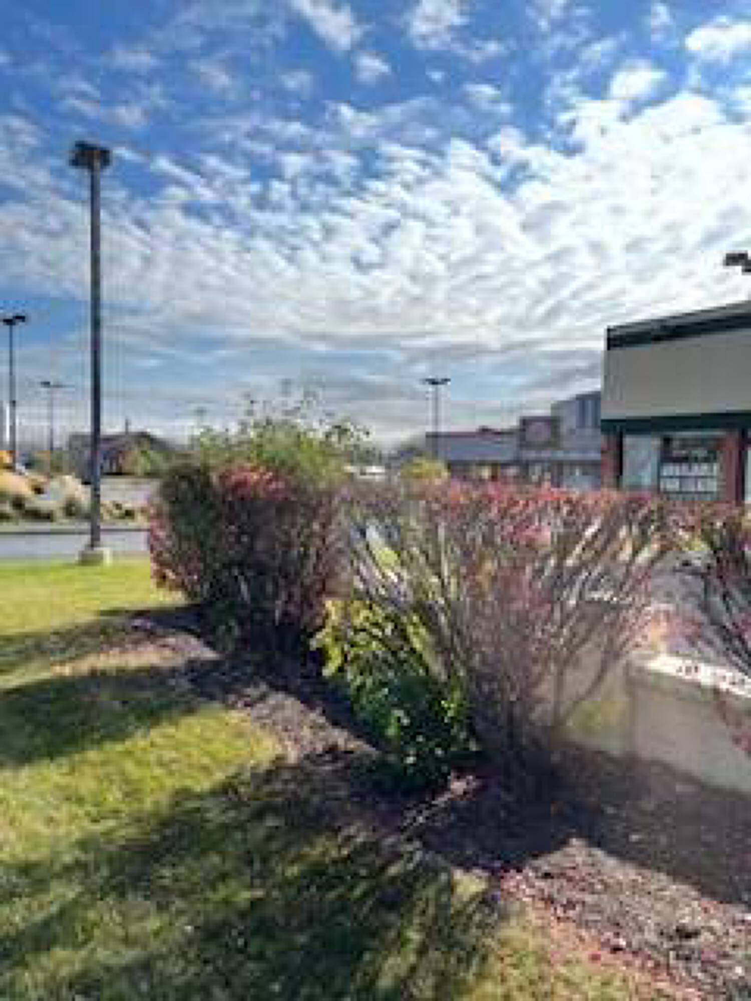 1911 W Algonquin Road, Rolling Meadows, IL 60008 | Crexi.com