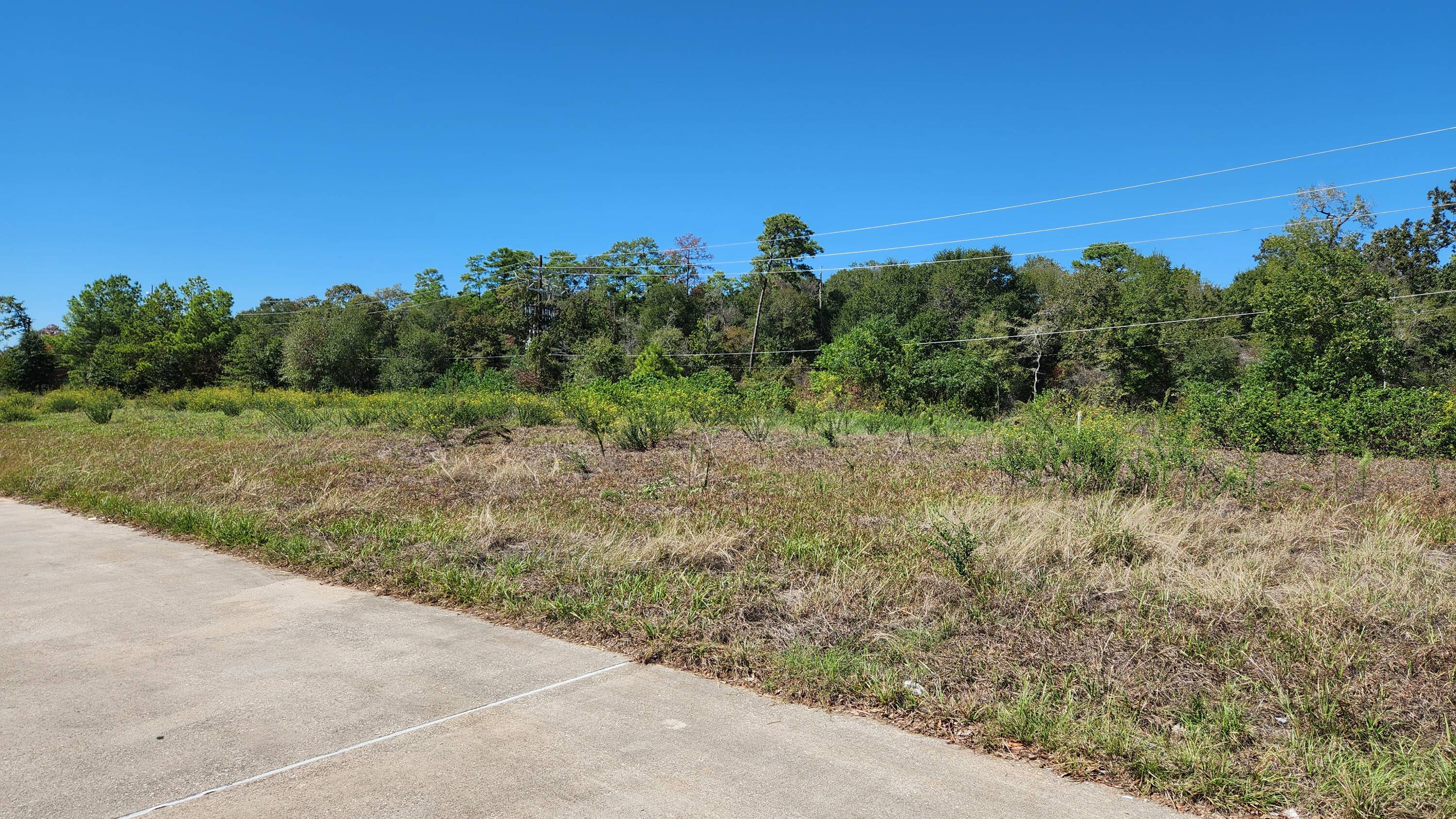 1613 Pinewood Plaza Dr, Conroe, TX 77303 | Crexi.com