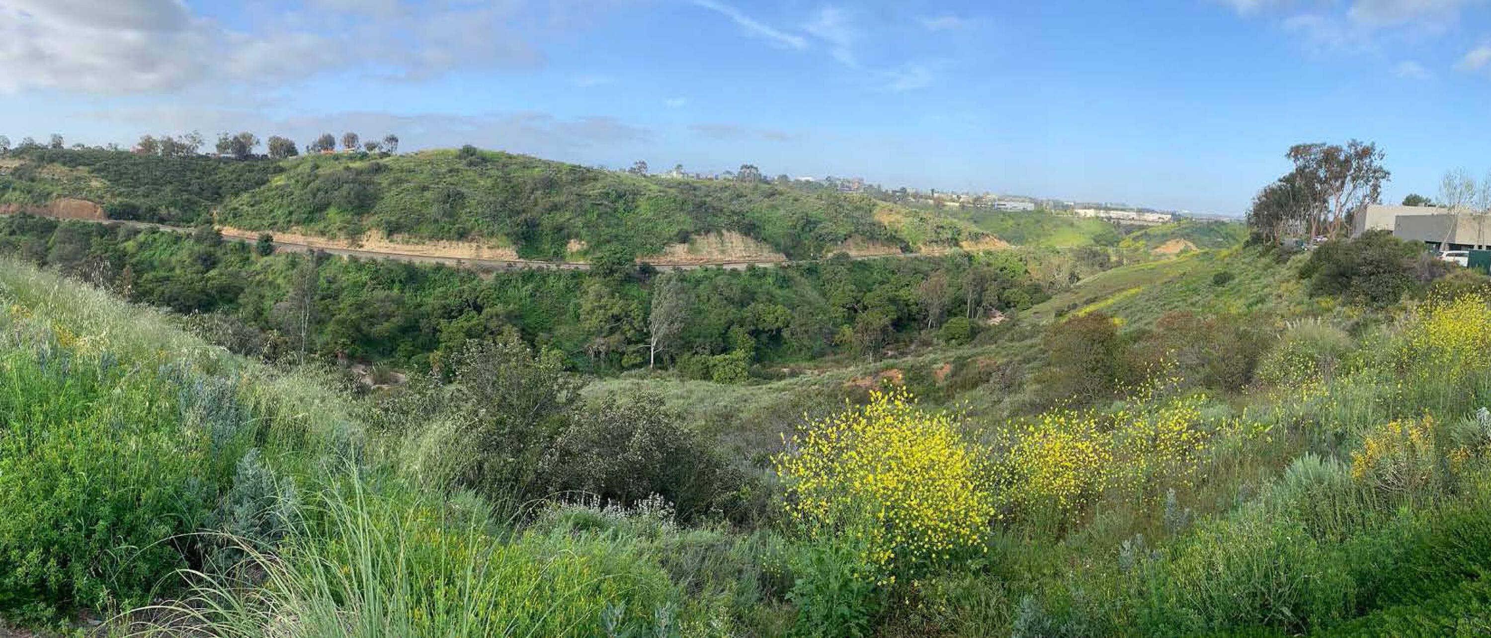 6387 Nancy Ridge Dr, San Diego, CA 92121 | Crexi.com