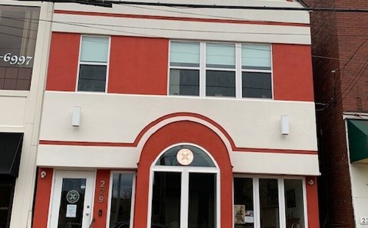 229 Commercial Ave, Pittsburgh, PA 15215 | Crexi.com